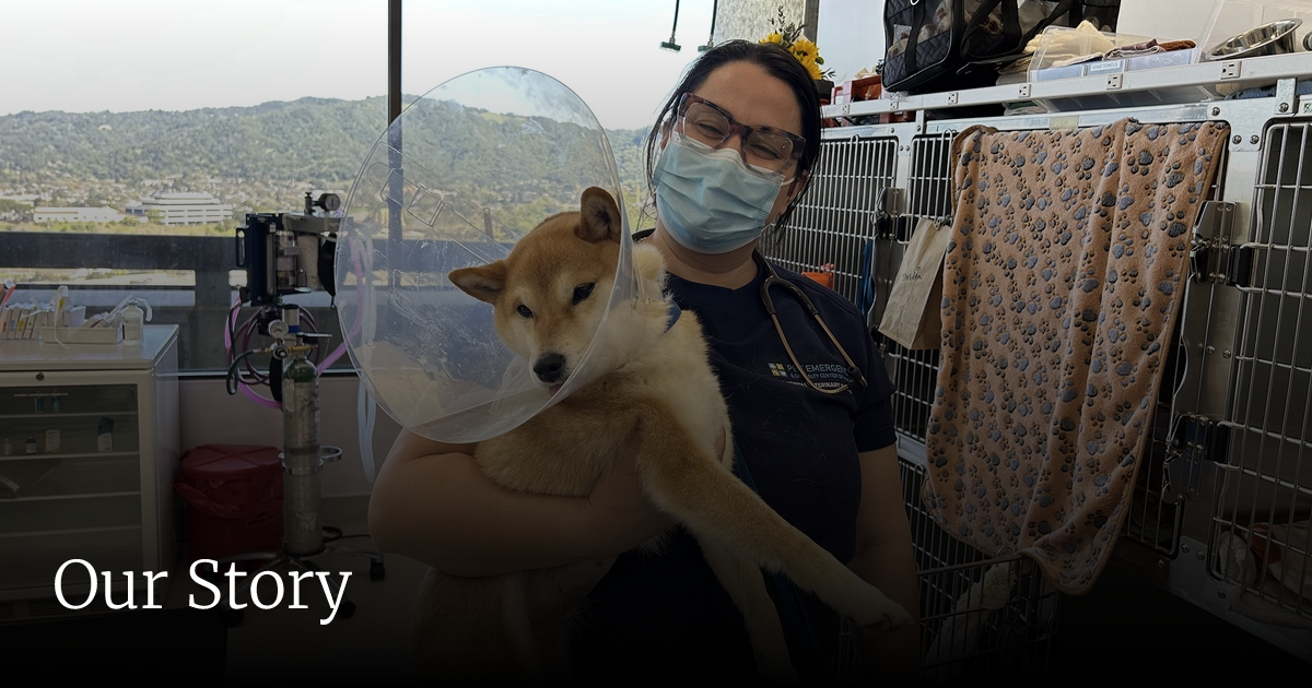 Our Story | Marin, PESCM